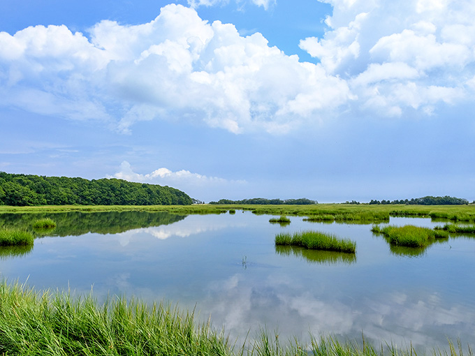 This mirror-perfect marsh reflects clouds so clearly, you'll question which way is up in the best possible way.