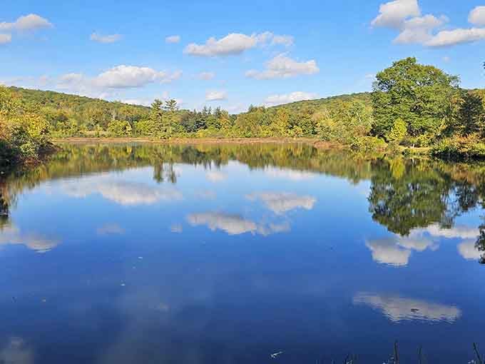 Mirror-perfect reflections that'll make your phone's camera roll finally earn its keep this weekend.
