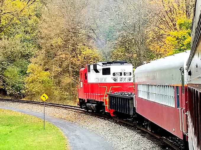 That brilliant red locomotive cutting through green mountains isn't just transportation, it's your ticket to adventure.