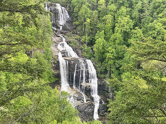 Eight hundred eleven feet of pure mountain magic cascading down ancient rock like nature's own standing ovation.