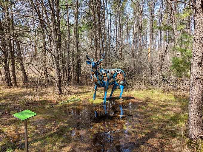 When art meets puddle, magic happens, creating reflections that rival any fancy gallery's lighting setup.
