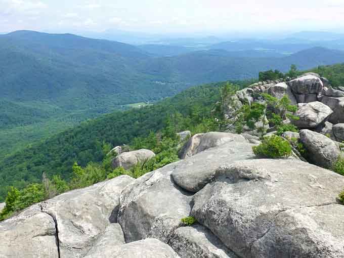 When the summit views look like a Bob Ross painting come to life, you know the climb was worth it.