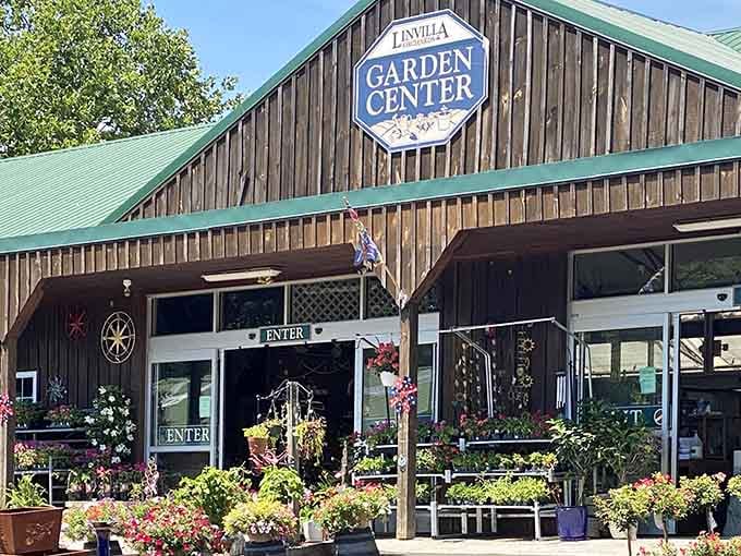 That weathered barn facade isn't just charming, it's your gateway to the best apple cider donuts in Pennsylvania.