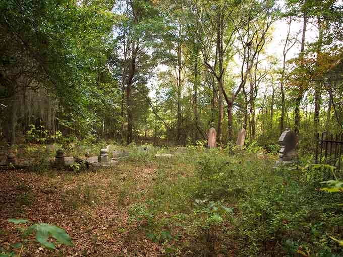 Nature's reclaiming what we once carved out, one leaf at a time in this forgotten Alabama sanctuary.