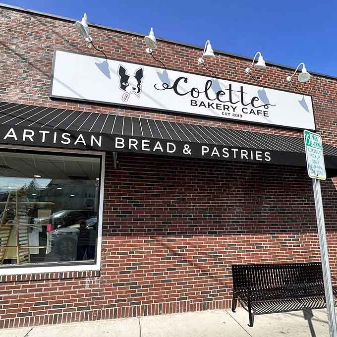 That French bulldog logo knows what's up: this is where carbs and happiness meet on a Medford corner.