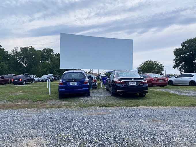 Cars lined up on gravel under an enormous screen: this is how summer evenings were meant to be spent.