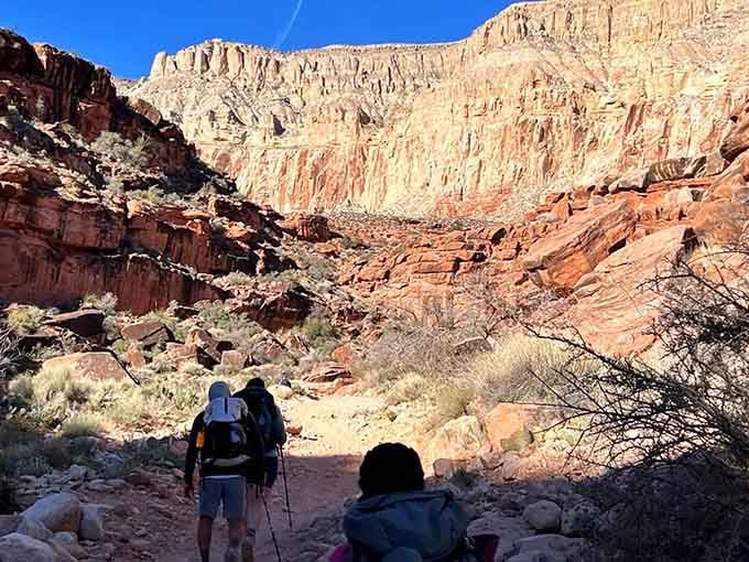 The descent begins where civilization ends, and honestly, that's exactly when things start getting really interesting down here.