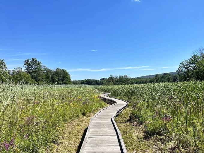 This elevated walkway transforms a simple hike into something straight out of a nature photographer's dream.