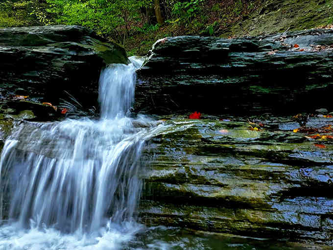 Water cascading over ancient shale creates nature's own staircase, each step more photogenic than the last.