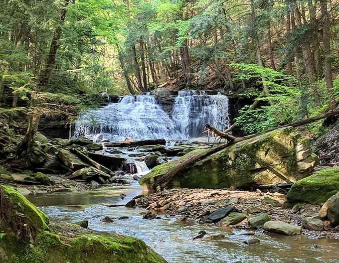 Freedom Falls puts on a show that'll make you forget all about your streaming subscriptions.