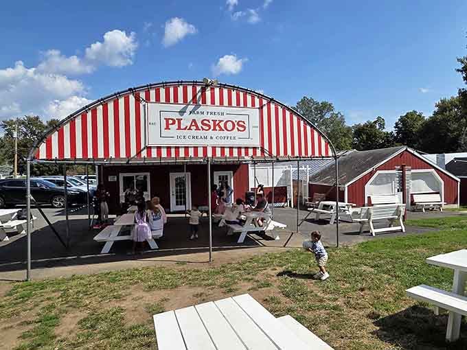 When a striped awning this cheerful exists, resistance is futile and honestly, why would you even try?