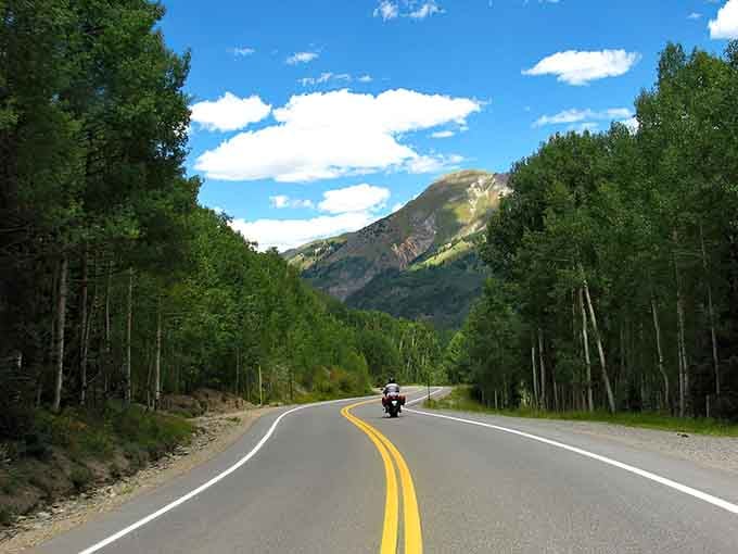Sometimes the journey really is the destination, especially when aspen trees frame your adventure like nature's welcome committee.