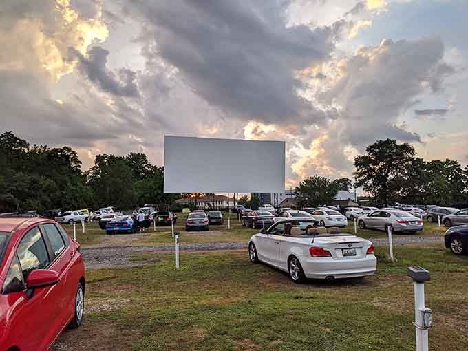 Rows of cars facing that towering screen create a community of film lovers under one spectacular open-air roof.