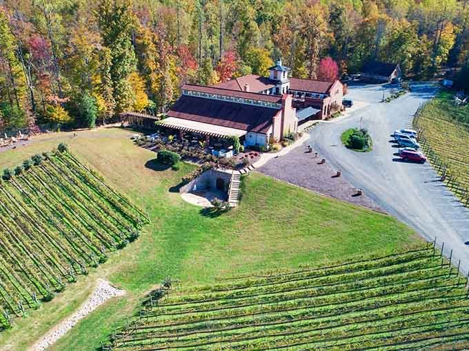 Rolling vineyards meet the Potomac River in a view that'll make your California wine snob friends suddenly very quiet.