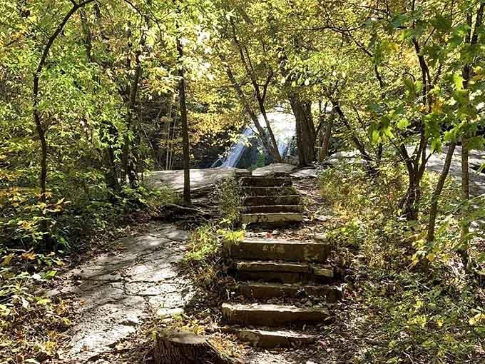 These wooden bridges aren't just functional, they're front-row seats to nature's greatest show below.