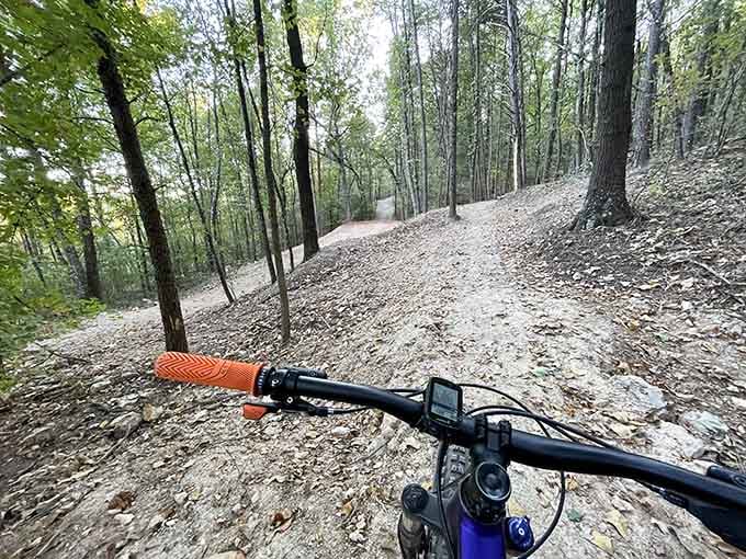 The view from your handlebars tells you everything: this forest trail is about to become your favorite adventure.