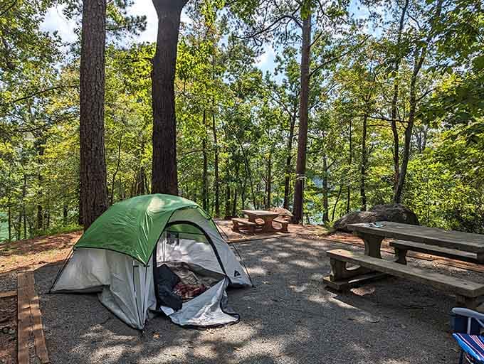 Your campsite comes with a view that costs zero extra, unlike literally everything else in life these days.
