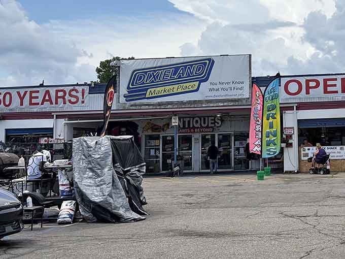 That "You Never Know What You'll Find" slogan isn't just marketing, it's a fair warning for your wallet.