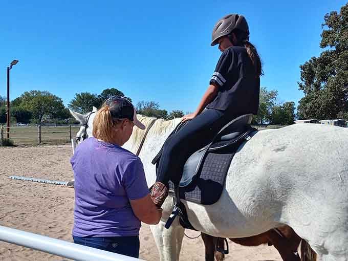 Every horse here has a story that started with thundering hooves and roaring crowds.