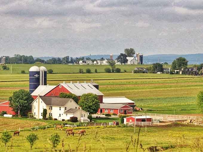 Rolling farmland that looks like someone spread out a patchwork quilt and forgot to pick it up.