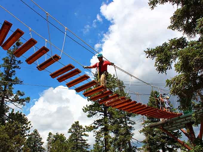 Suspended between earth and sky, you'll navigate bridges that make your morning commute look downright boring.