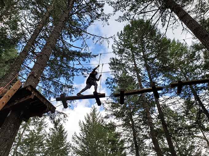 Wooden platforms and rope bridges weave through towering trees, creating an aerial playground that defies gravity and common sense.