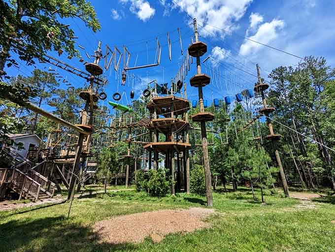 This towering playground among the pines makes your childhood treehouse look like amateur hour.