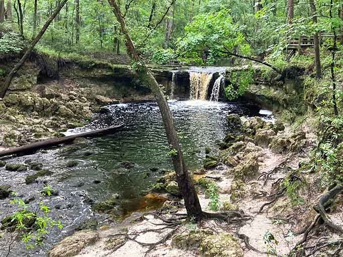 This little cascade proves Florida has more tricks up its sleeve than just beaches and theme parks.