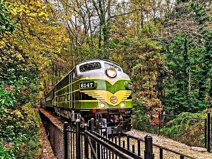 That green and yellow locomotive isn't just pretty, it's your ticket to the easiest sightseeing adventure in Georgia.