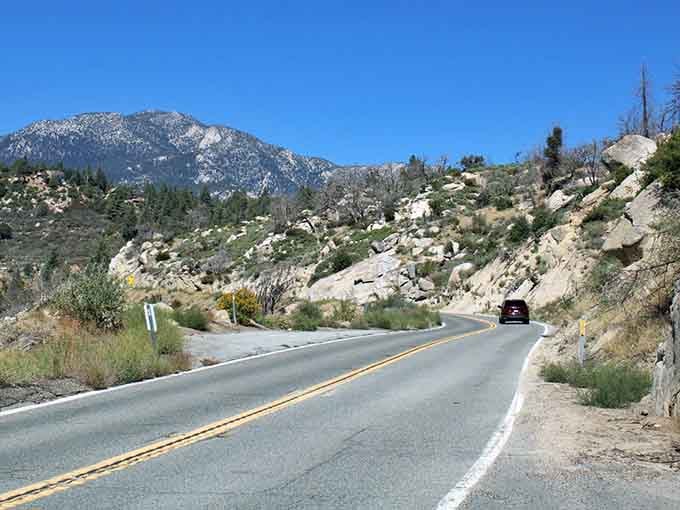 The road curves like it's auditioning for a sports car commercial, beckoning you toward adventure.