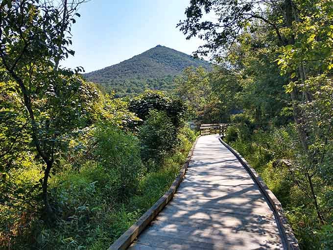 Sharp Top Mountain rises ahead like nature's perfect pyramid, framing this paved path to pure tranquility.