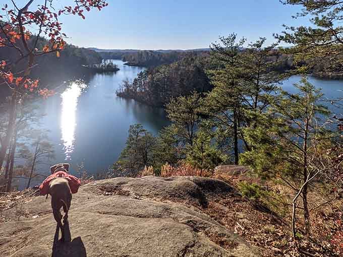 Lake views that make you understand why people write poetry about nature and then immediately delete it.
