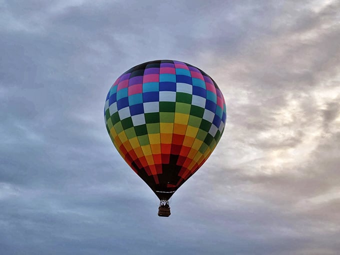 That rainbow-colored beauty floating against moody skies proves that sometimes the best therapy doesn't require a couch.
