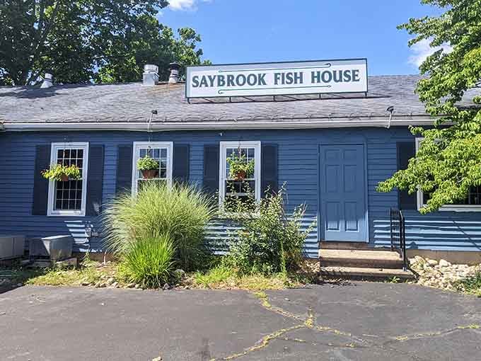 This unassuming blue cottage holds more oceanic treasures than a pirate's chest, minus the scurvy and parrots.