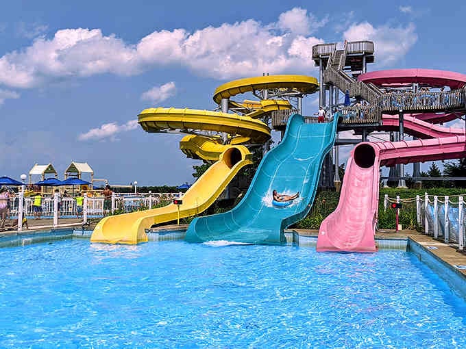 Those colorful slides aren't just pretty, they're your ticket to forgetting you're a responsible adult for a few glorious minutes.