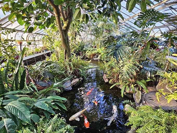 Step into a tropical paradise where koi swim beneath lush canopy and humidity feels like vacation.
