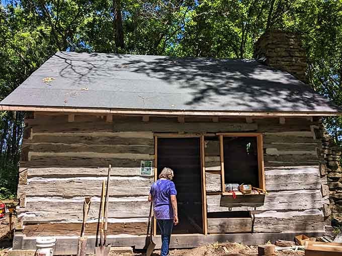 Step inside history where pioneers once called home, minus the hardship but with all the charm intact.