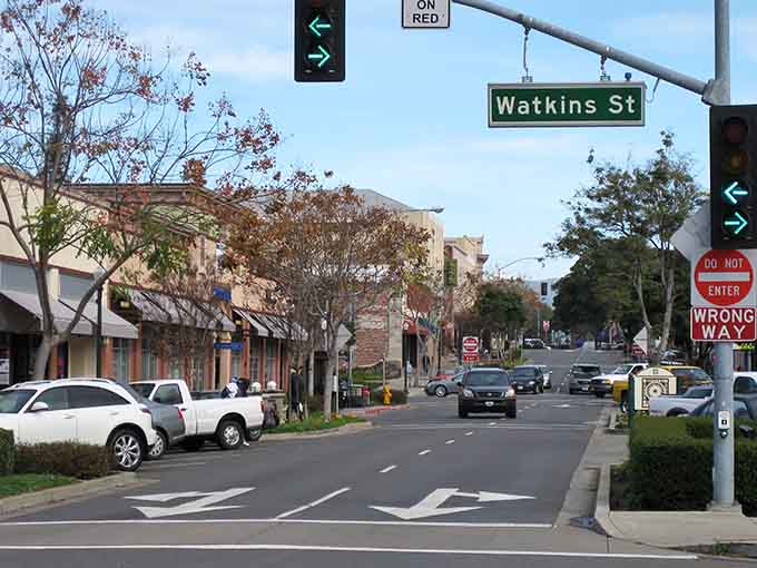 Tree-lined streets that look like someone actually planned for shade instead of just concrete and regret.