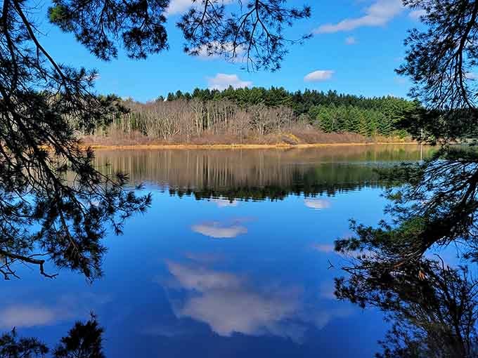 This crystal-clear lake is waiting for you to finally remember what relaxation feels like.