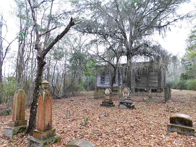 Spanish moss drapes like nature's curtains over weathered stones where Alabama's frontier families found their final rest.