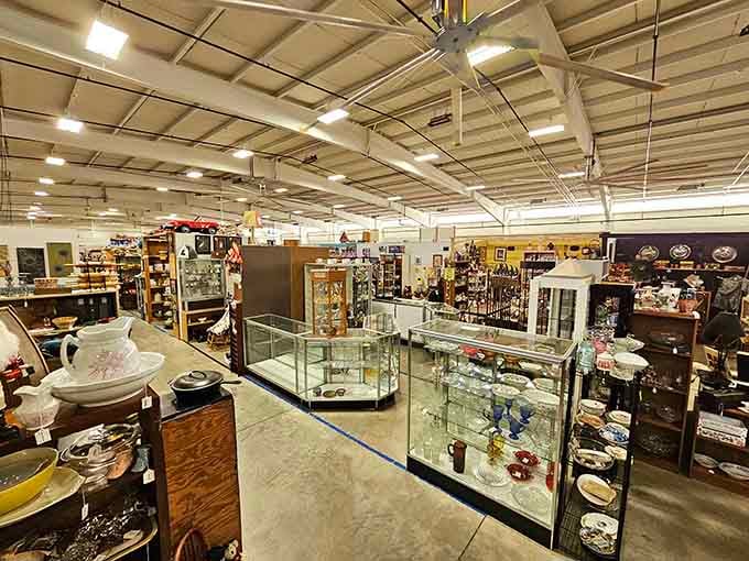 Those display cases aren't just showing off, they're practically begging you to come closer and start browsing.