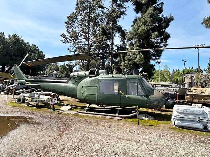 That iconic Huey helicopter resting peacefully under California pines tells more stories than any history book ever could.