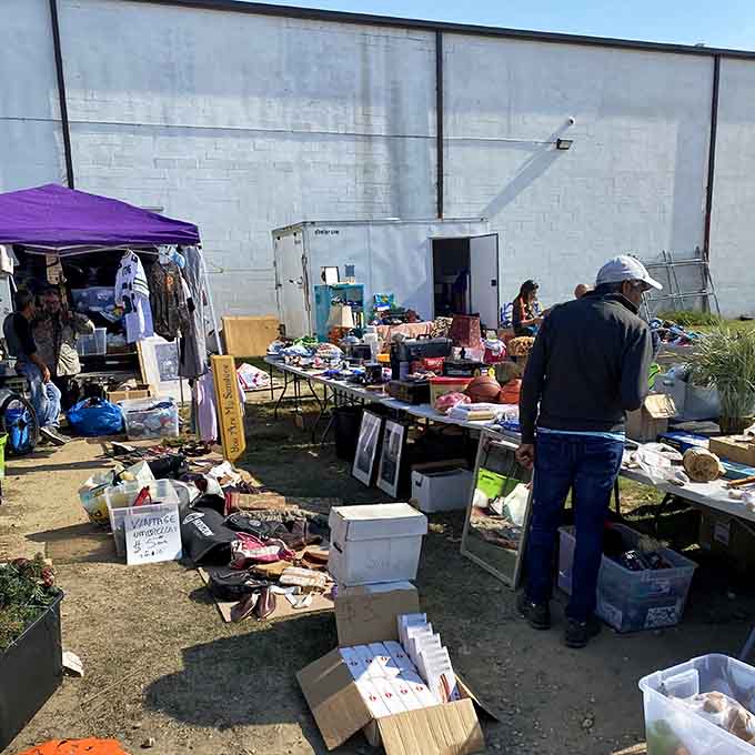 Tables overflow with life's miscellany, proving that everything deserves a second chance at usefulness.