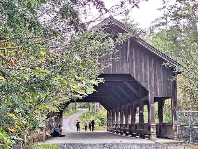 There she stands in all her weathered glory, a wooden masterpiece that makes modern bridges look positively boring.