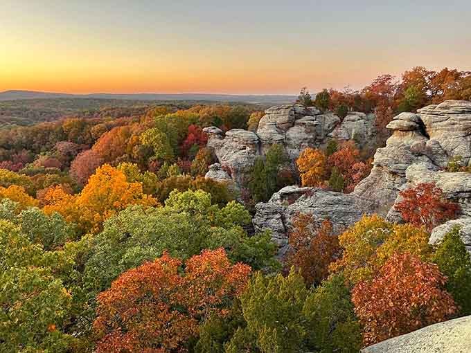 Mother Nature's autumn paint palette explodes across ancient sandstone, proving Illinois has serious scenic game after all.