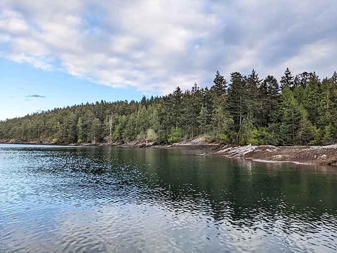 Dense forests meet pristine waters where nature still runs the show and cell service wisely stays away.