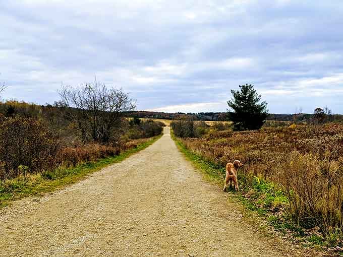 Wide open trails and endless prairie views that make you wonder why you ever thought nature needed an admission fee.