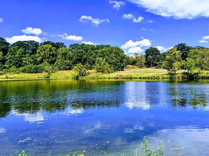 Golden sunlight dances across the tranquil blue water, inviting you to enjoy the peaceful scenery of this lush, green landscape.