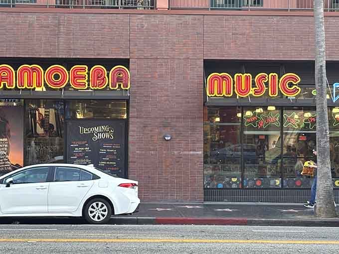 That iconic retro signage beckons music lovers like a lighthouse guides ships, promising safe harbor for anyone seeking refuge from algorithm-generated playlists.