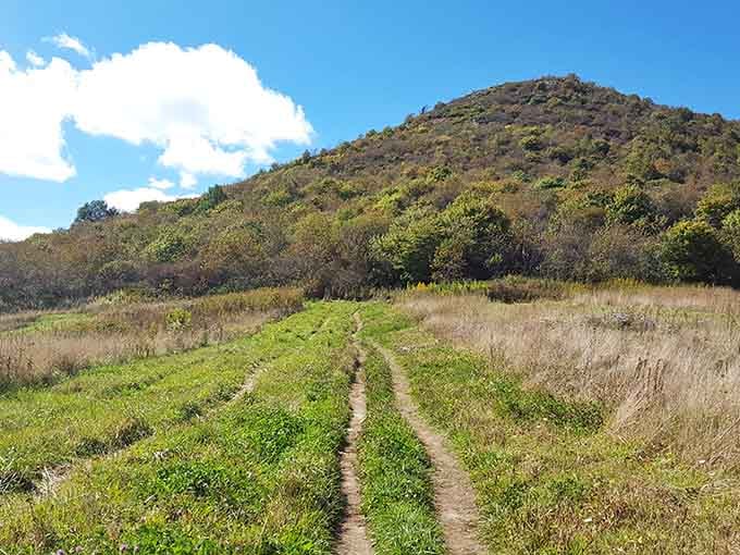 That rounded summit rising above the meadow is your destination, and trust me, it's worth every step.